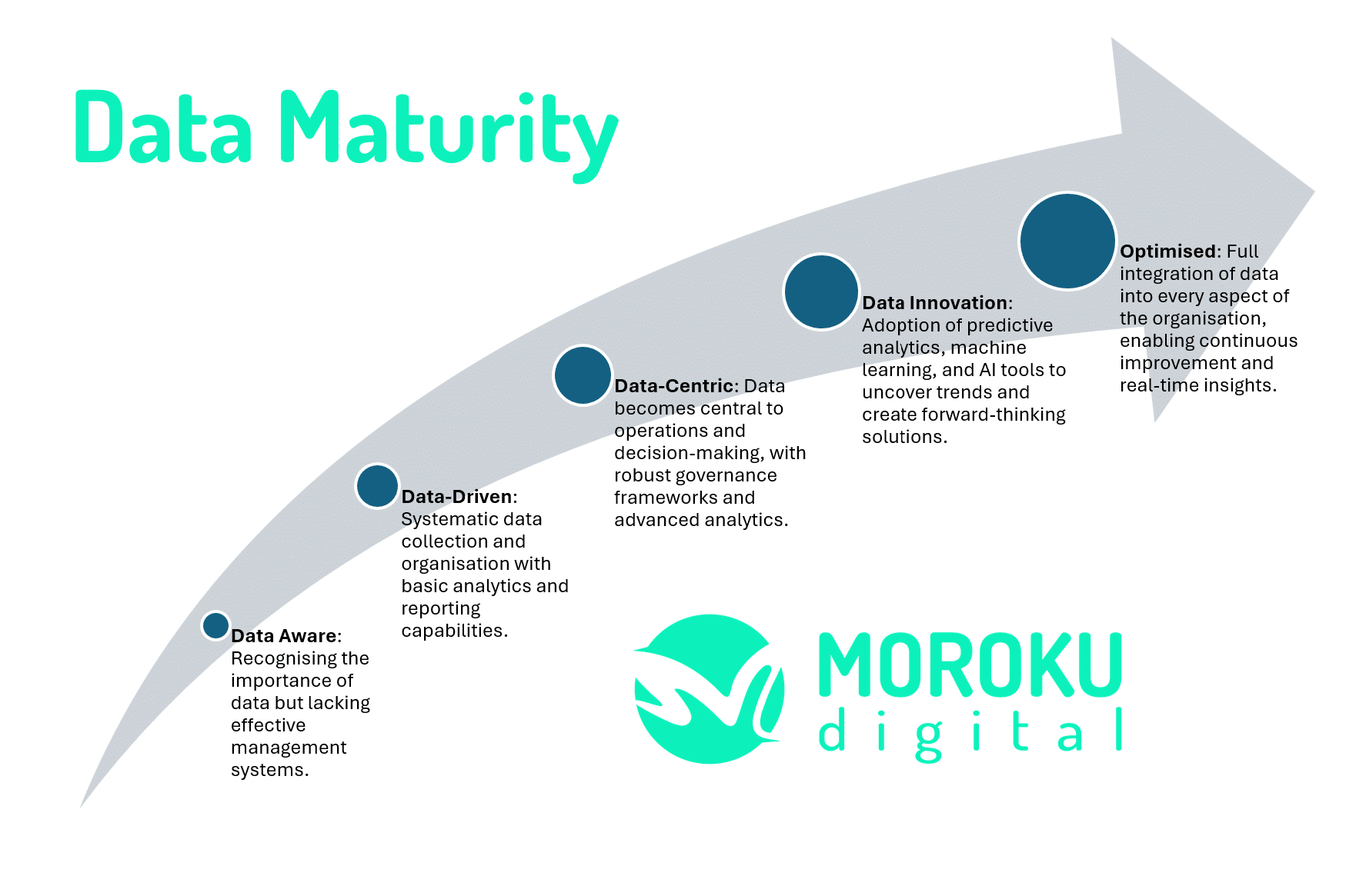 The criticality of Data Maturity in a world of AI – MOROKU – Next ...